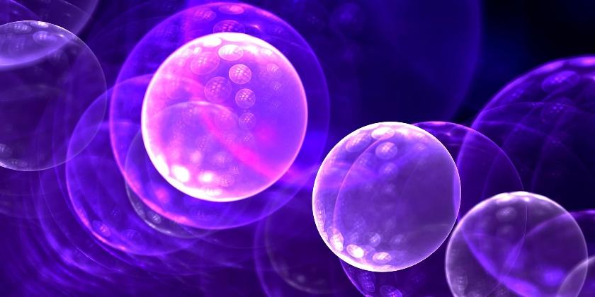 On the Pulse webinar series 2025 - Autumn